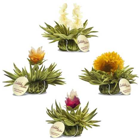 Tea blossom Discovery set (x4) - Creano