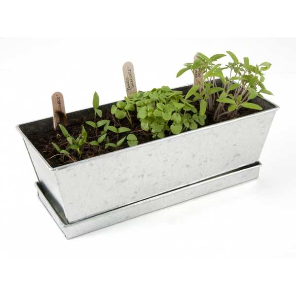 Vegetables planters - Radis et Capucine