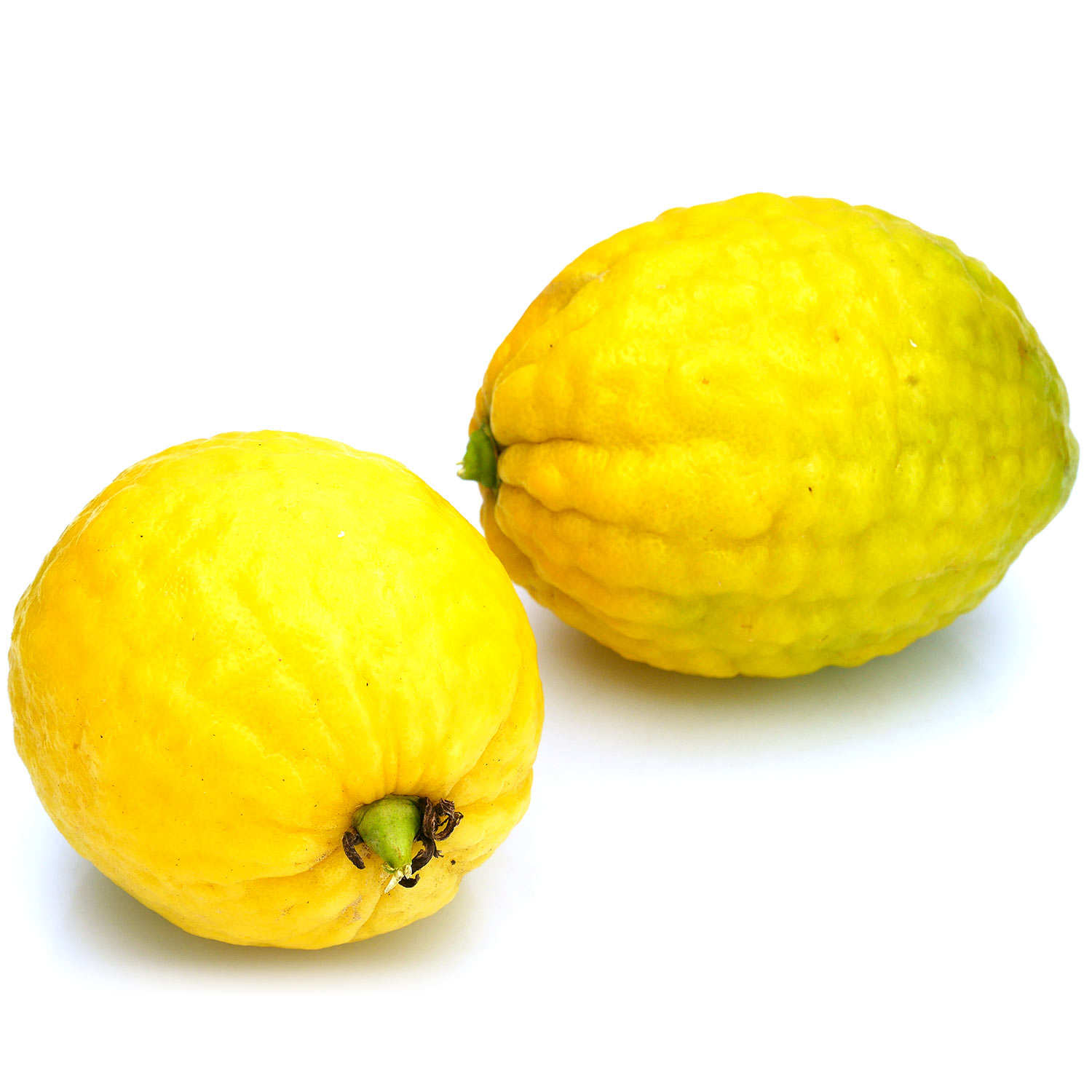 Cédrats frais de France