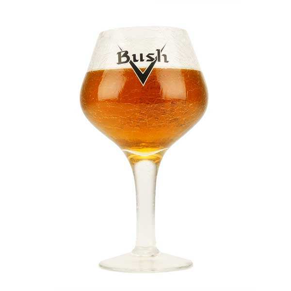 Verre à bière Bush - Brasserie Dubuisson