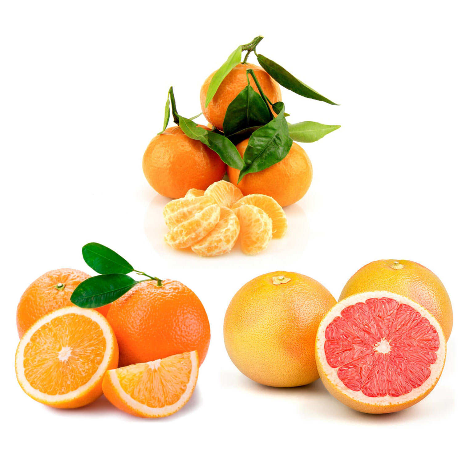 Organic citrus fruits discovery offer