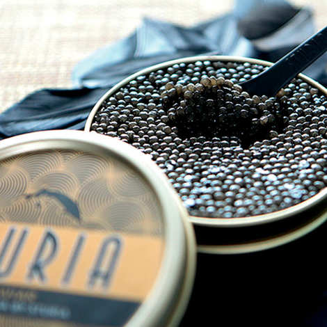 Caviar Beluga by Sturia - Sturia