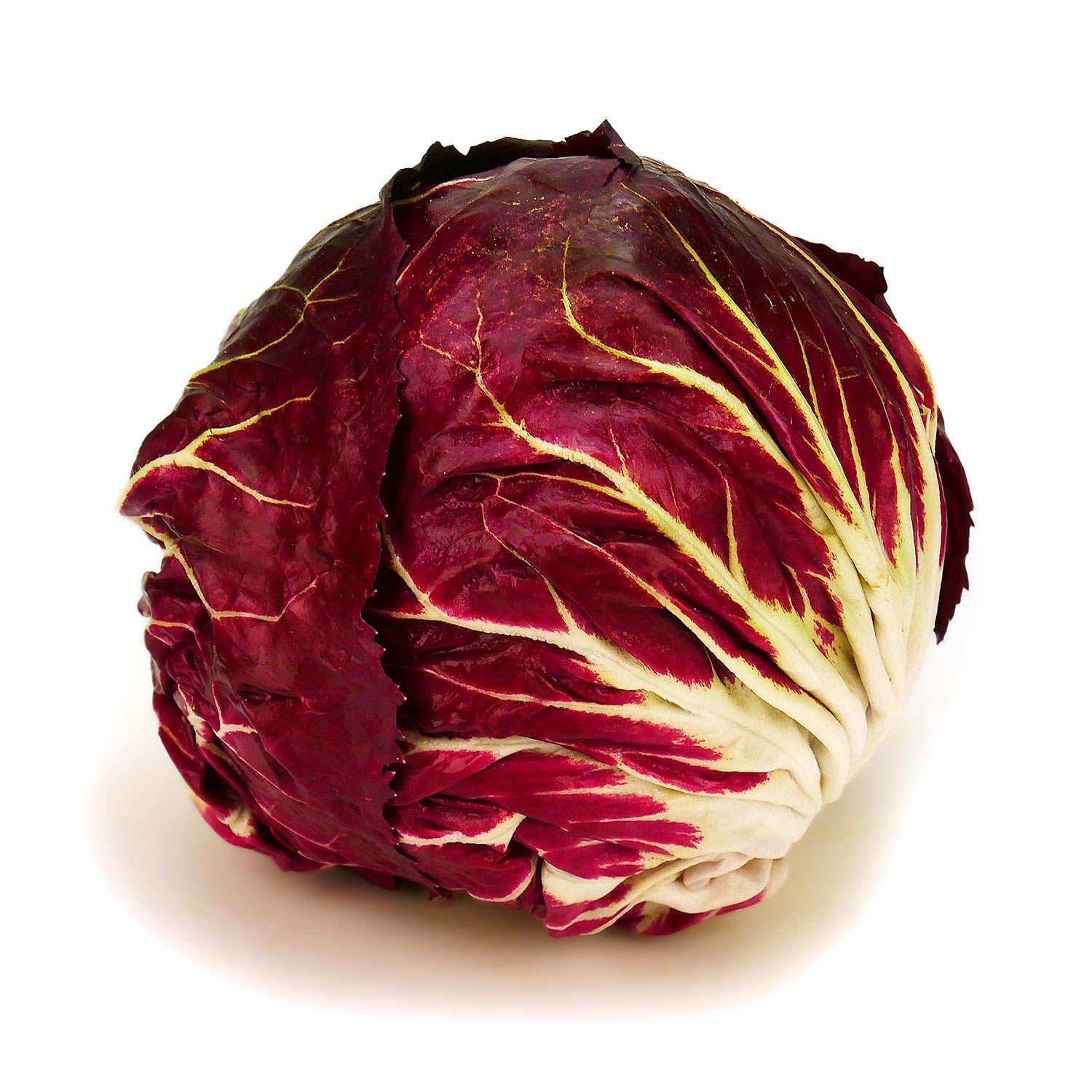 Organic Radicchio from France