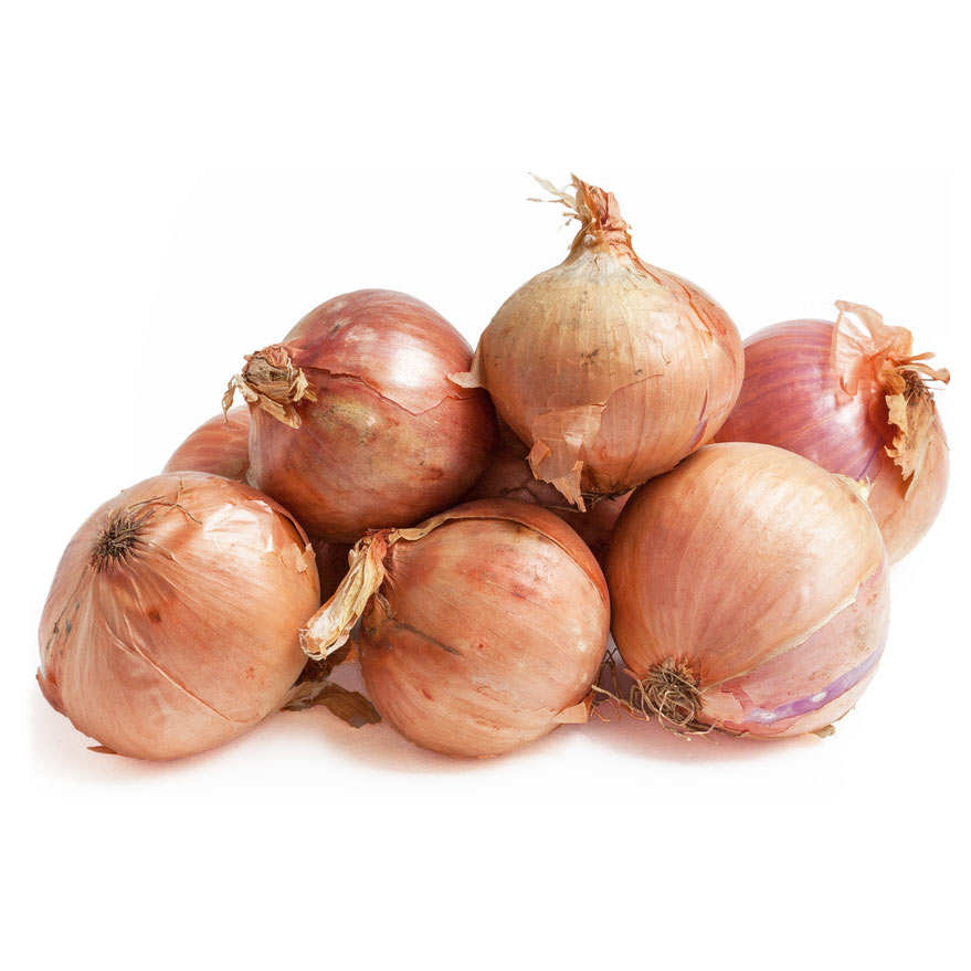 Oignons roses de Bretagne bio