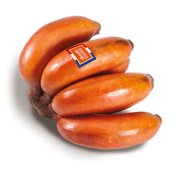 Bananes roses des Antilles