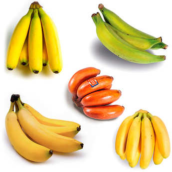 Assortiment découverte de bananes - BienManger.com