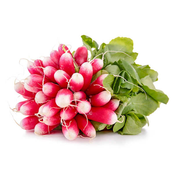 Organic Radish from France
