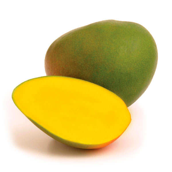 Mangues variété Kentt bio