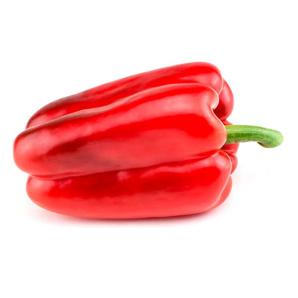 Poivron rouge bio