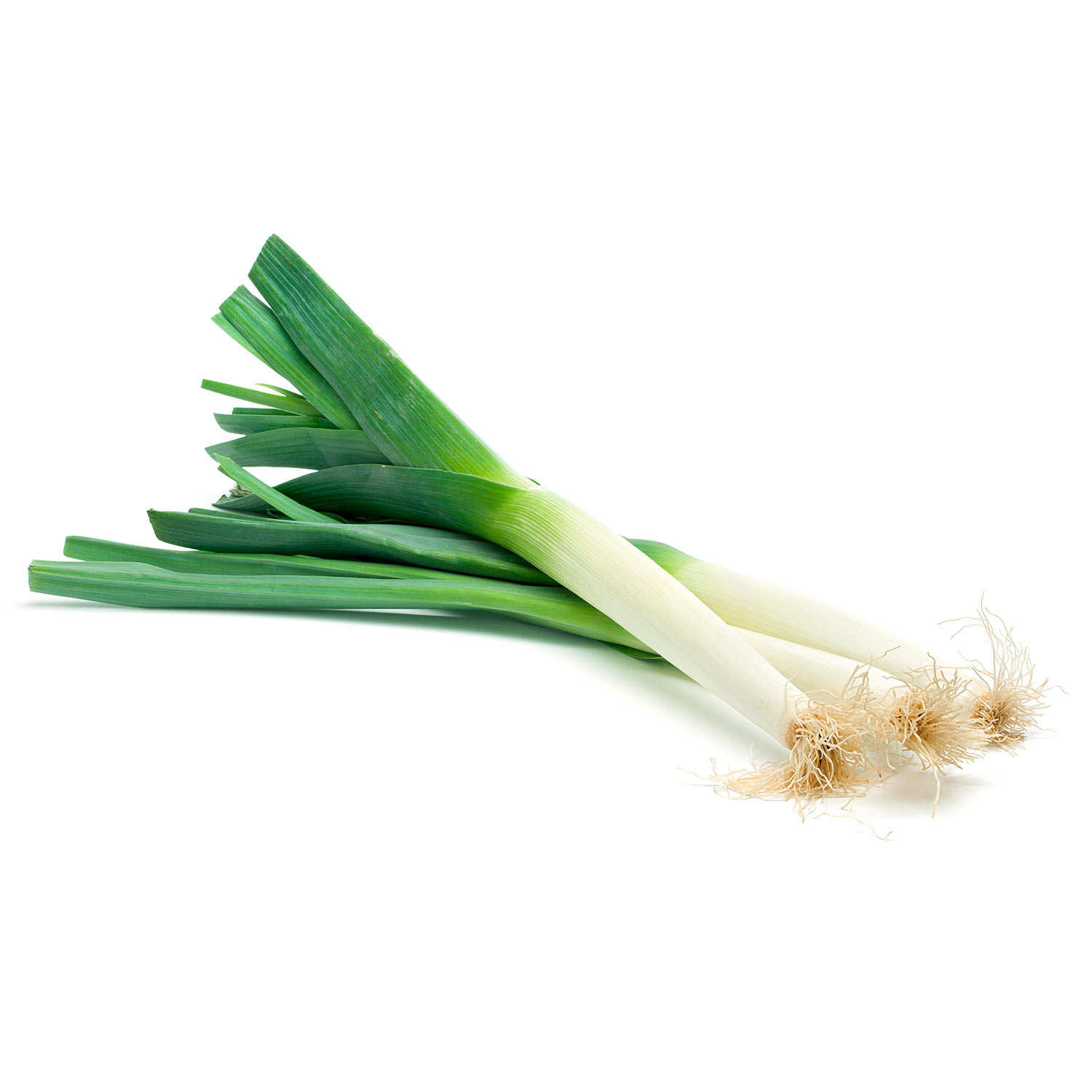 Organic new leeks