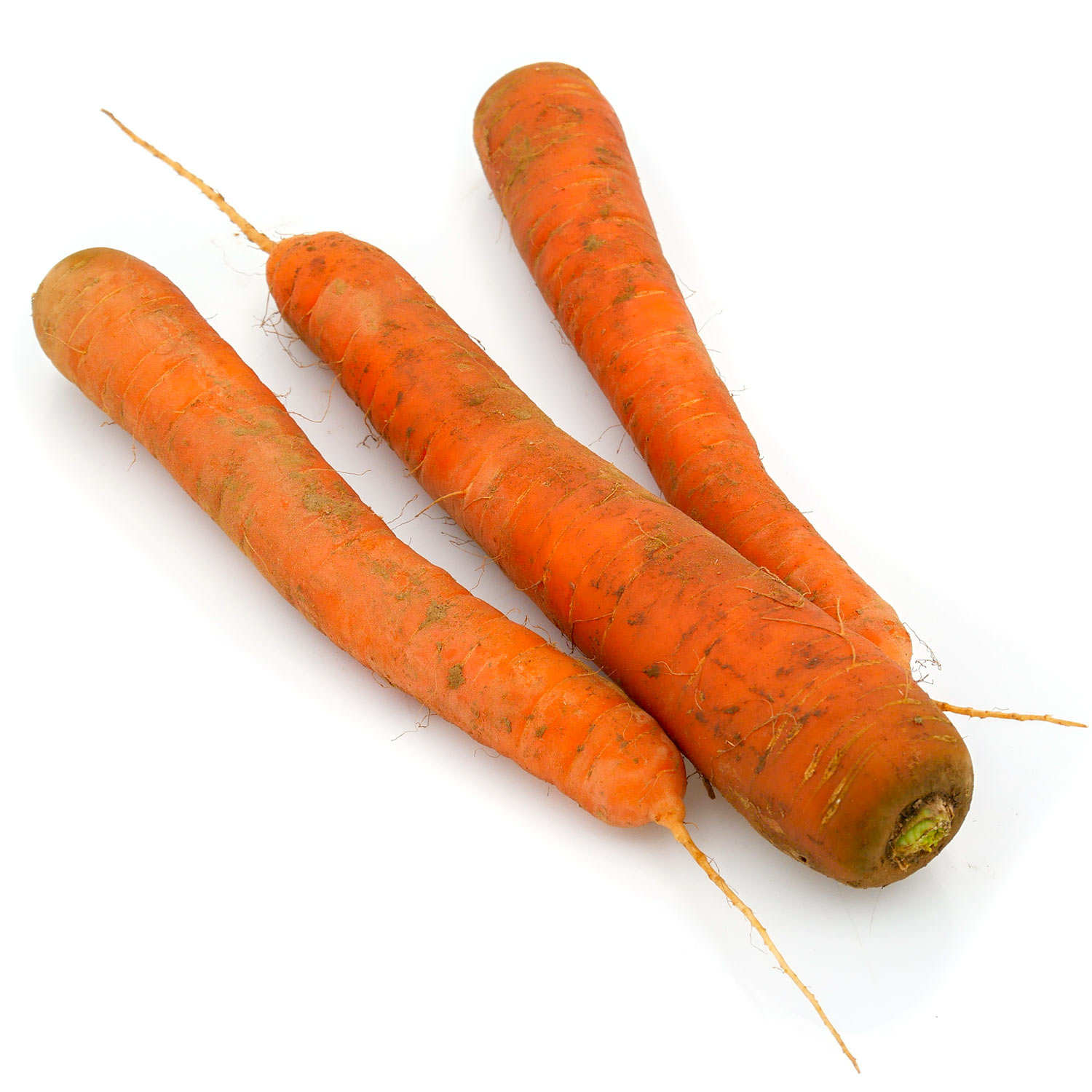 Carottes bio non lavées