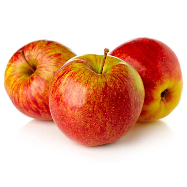 Organic Apples 'Elstar' from France