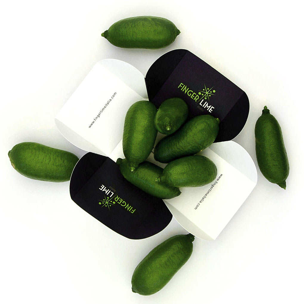 Fresh Finger Lime from Italia - Finger Lime Italia