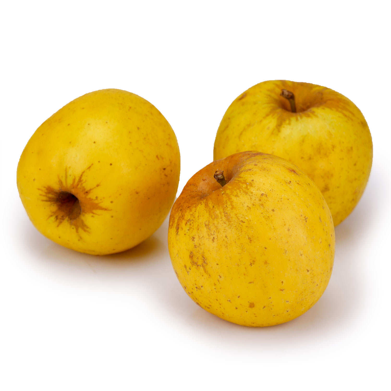 Pommes Opal de France bio