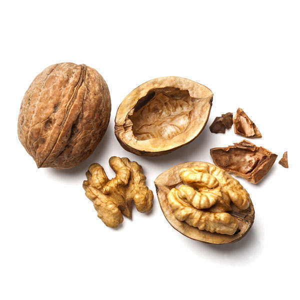 Perigord Walnuts of the franquette variety from organic farming