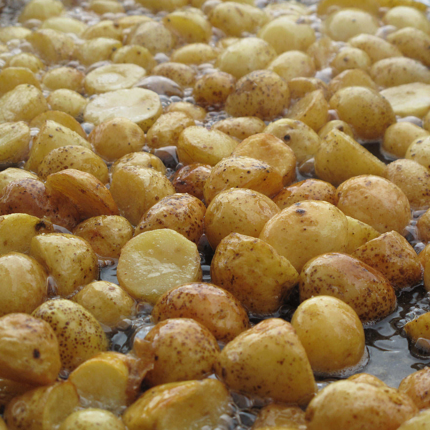 Marabel organic potatoes - Grenailles - Pépites de l'Aubrac