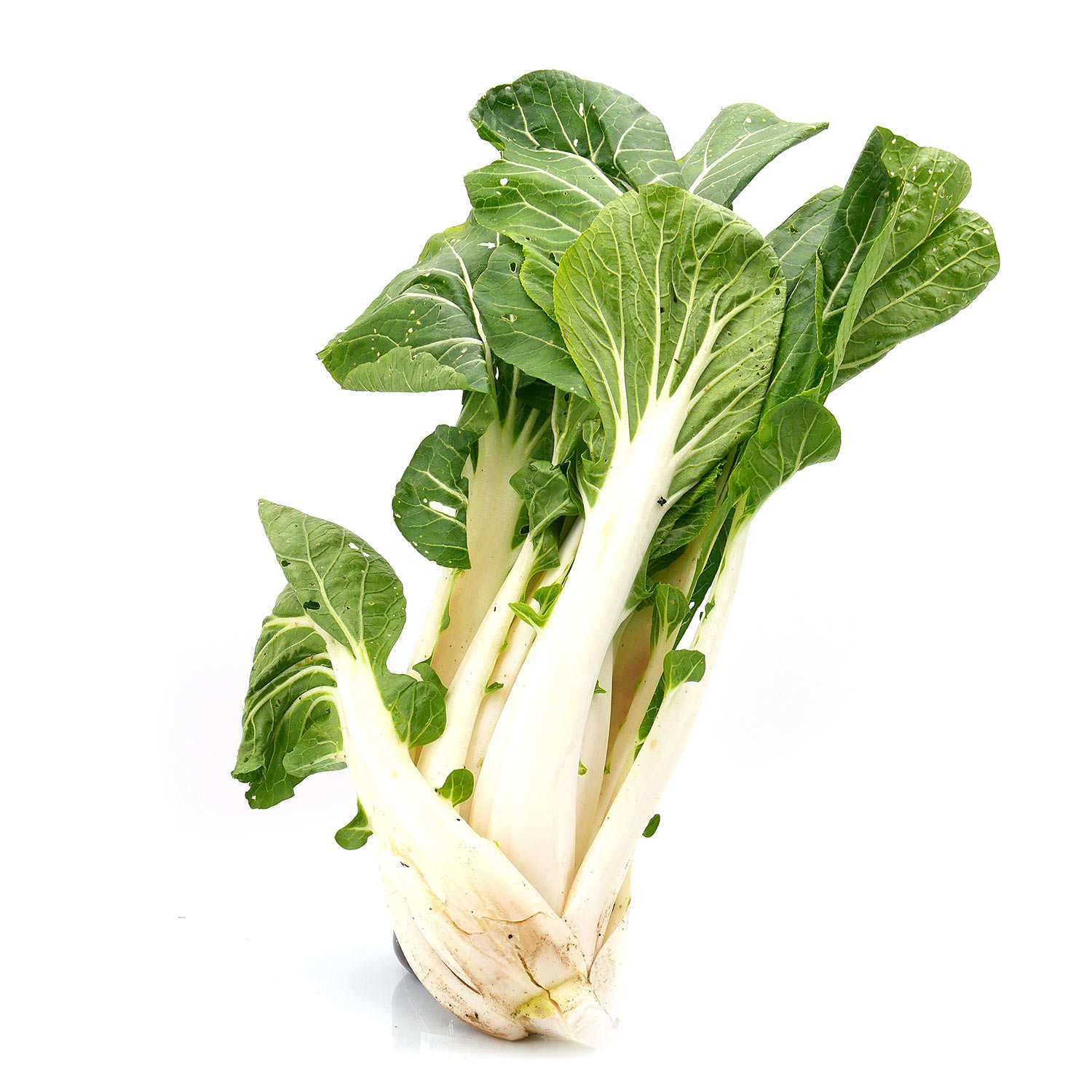 Chinese Pak-Choï Cabbage from France