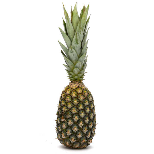 Organic Sugarloaf Pineapple