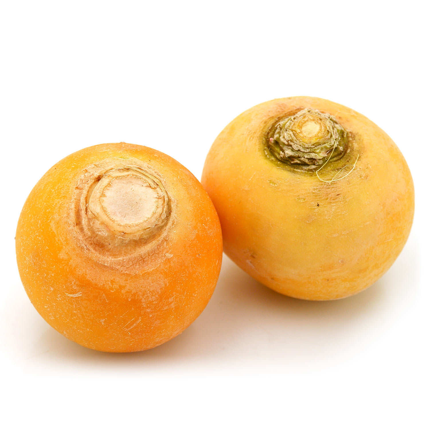 Navet jaune de France bio