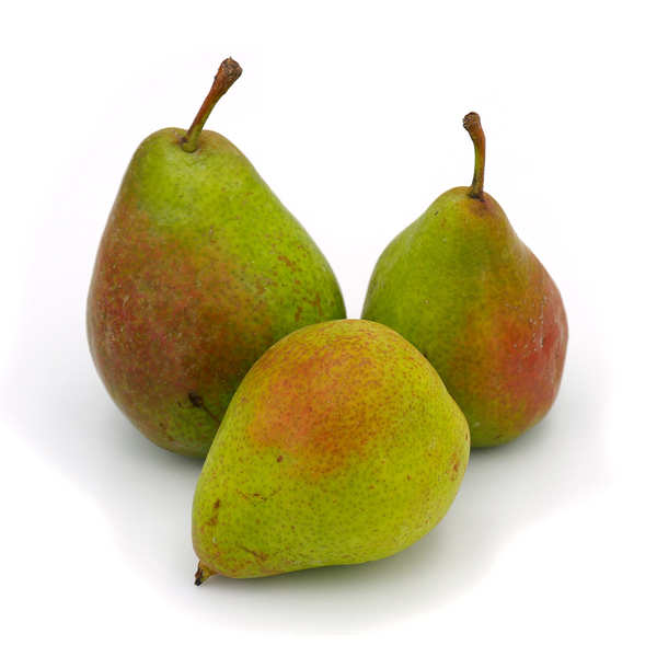 Organic Louise Bonne Pear