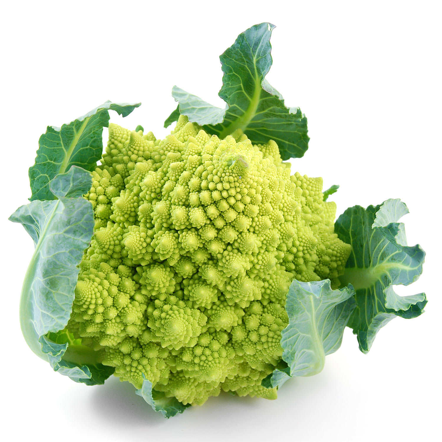 Organic Romanesco cabbage - France