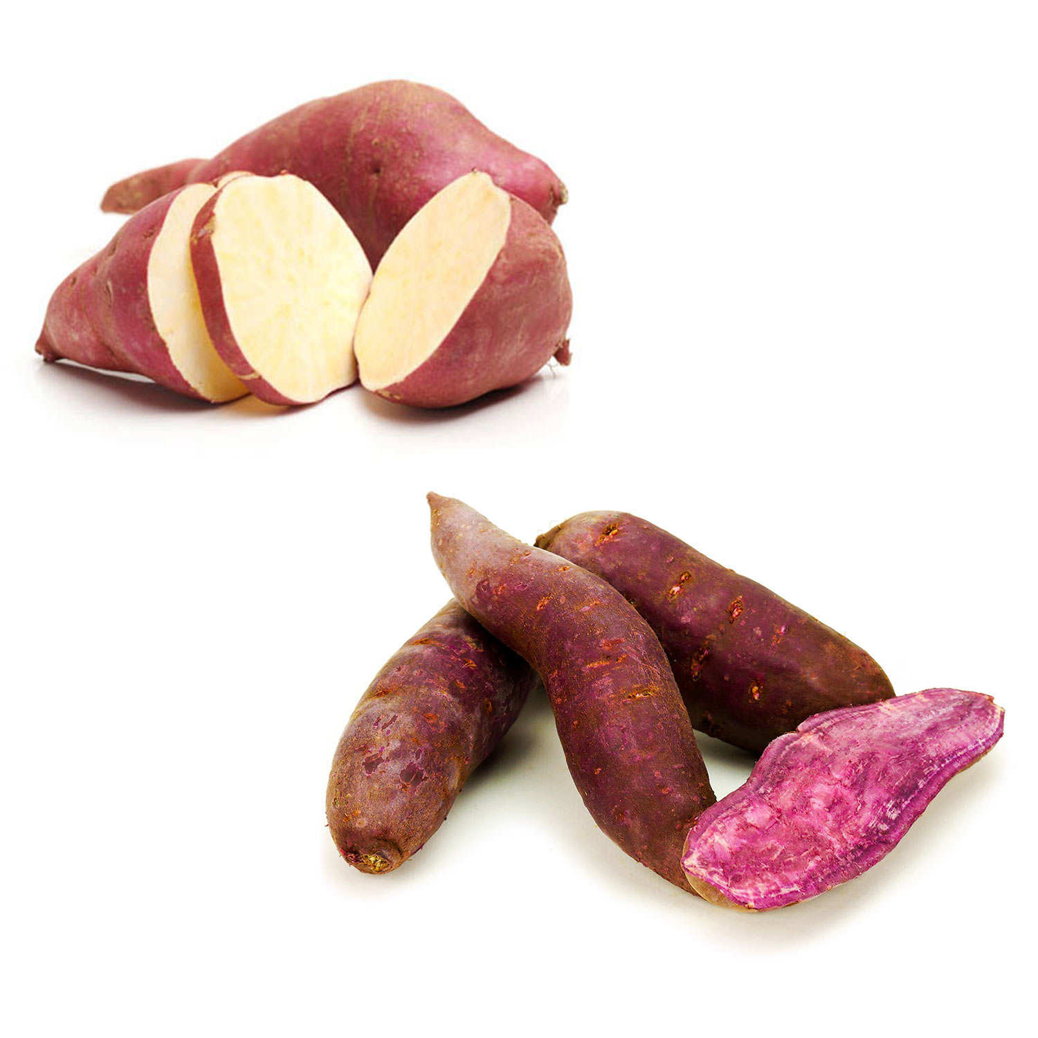 Assortiment de patates douces bio