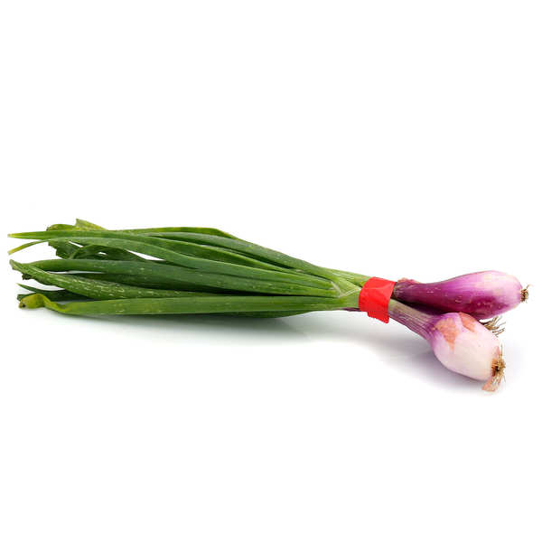 Organic Red Toulouges Onion Bunch
