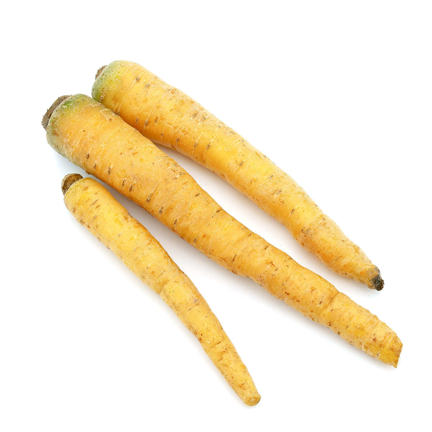 Carottes jaunes bio