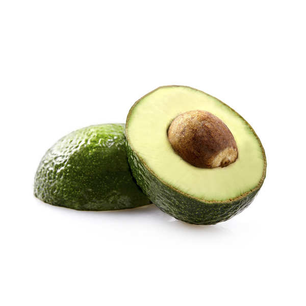 Reed Avocado Buy Cloud Farm Reed Avocado Live Plant[CF20] Online At