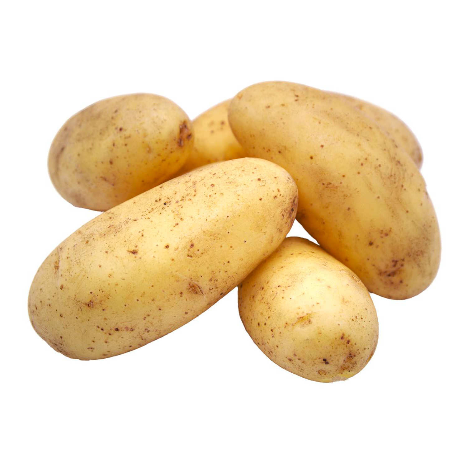 Organic potato - Monalisa variety