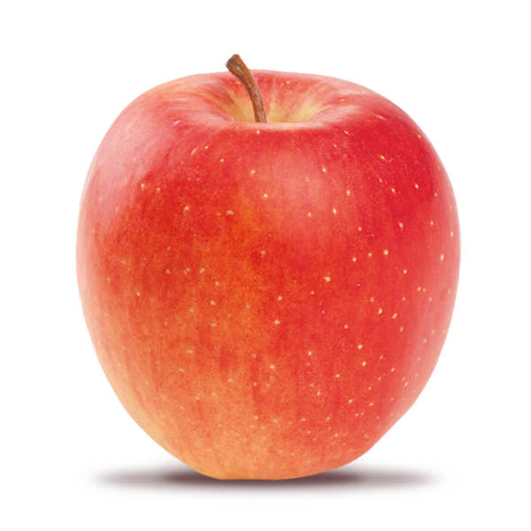 Organic Mandy France apple