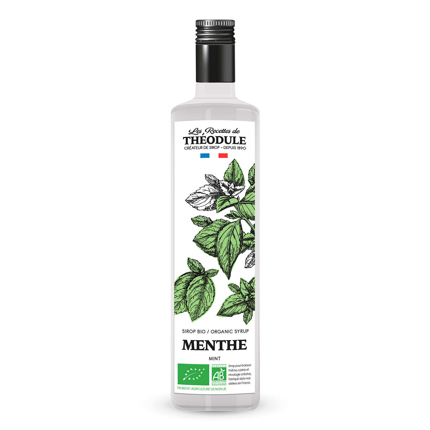 Organic mint syrup - Les recettes de Théodule