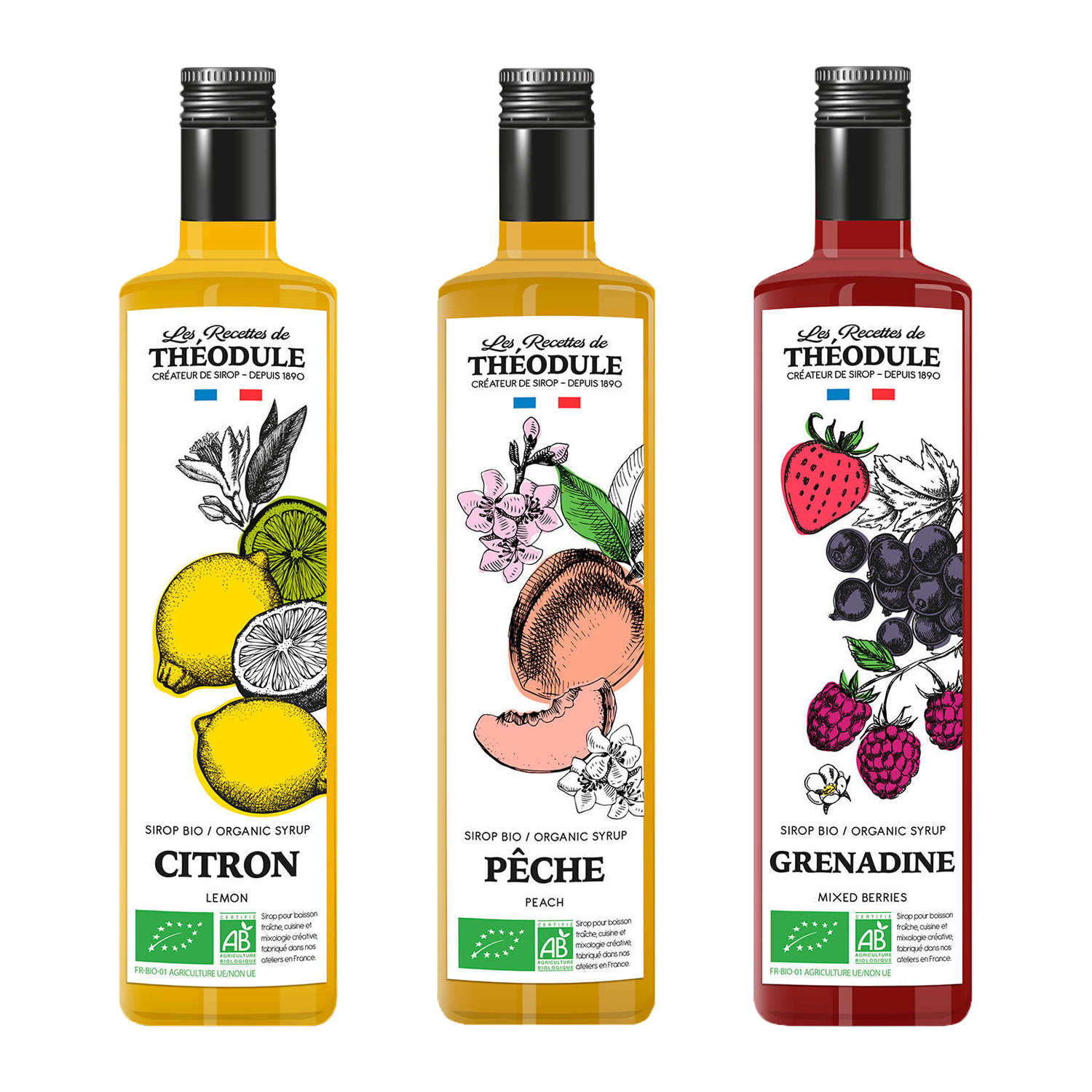 Assortiment découverte de 3 sirops bio - Les recettes de Théodule