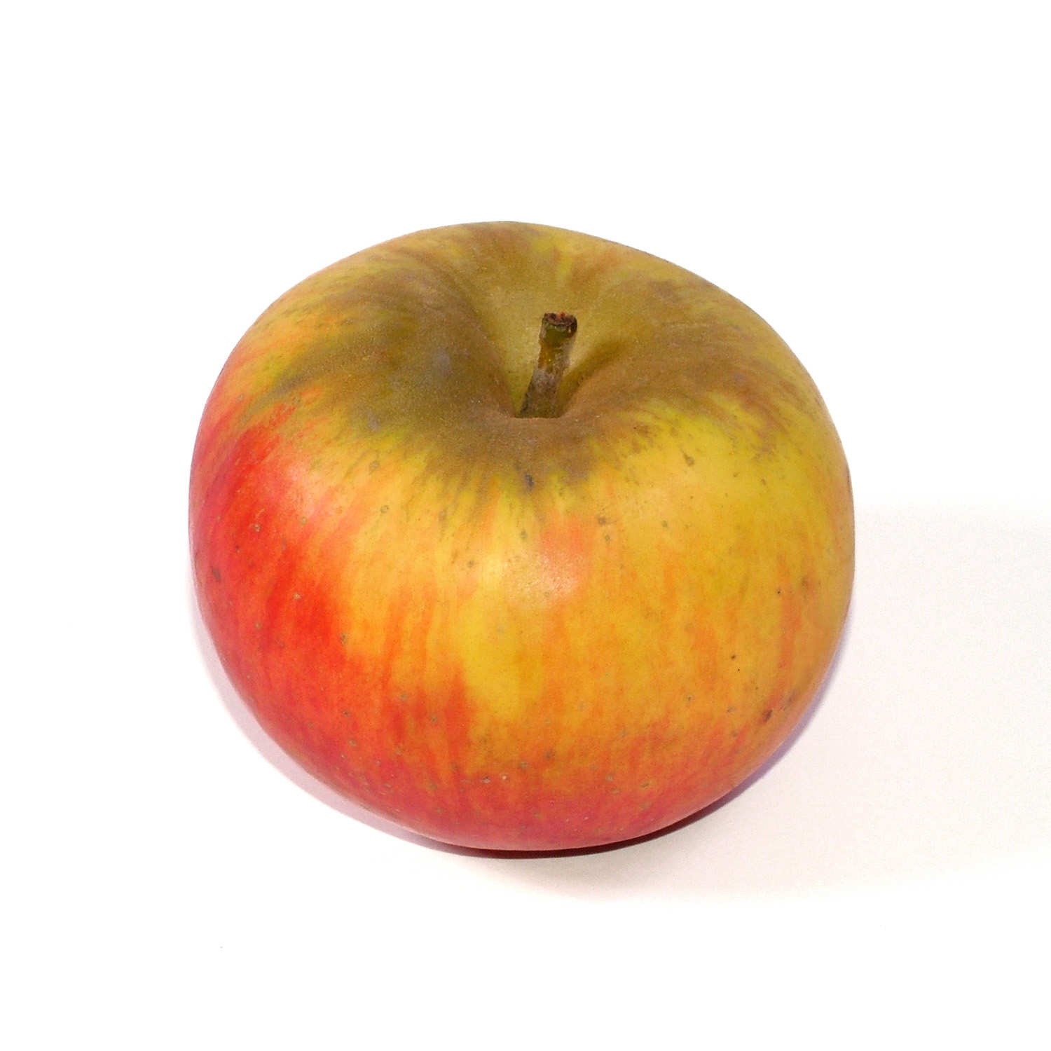 Organic Reine des Reinettes apples from France