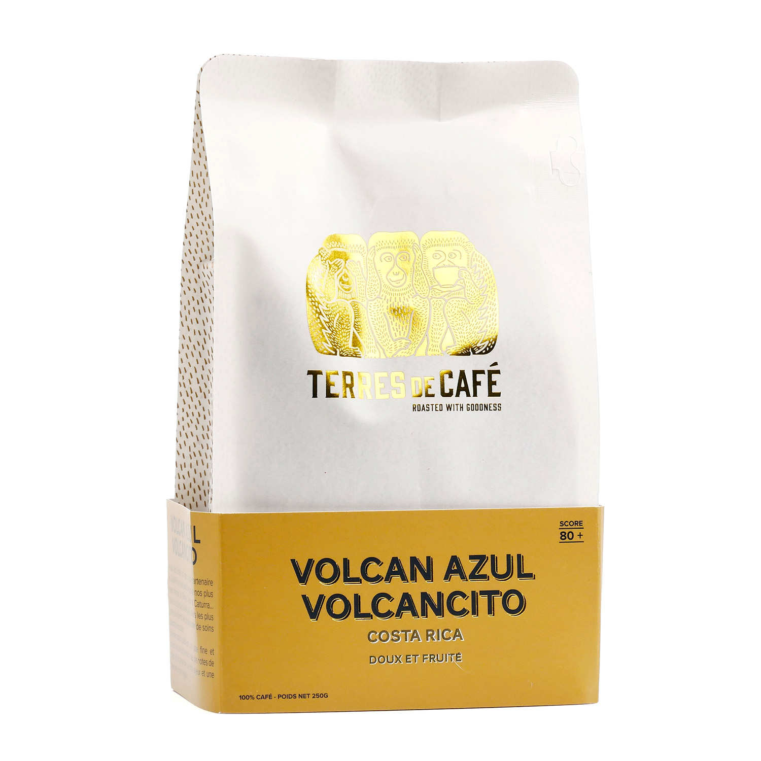 Volcancito Costa Rica Coffee Beans - Specialty Coffee 80+ - Terres de Café