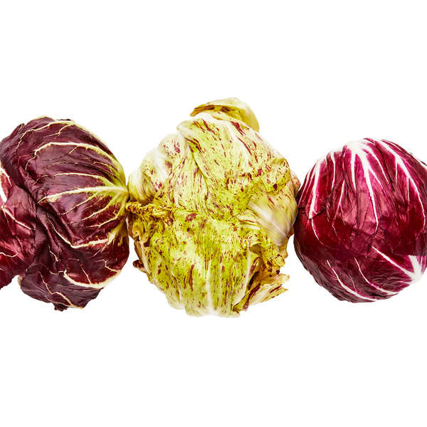 Organic red chicory Radicchio - Origin France